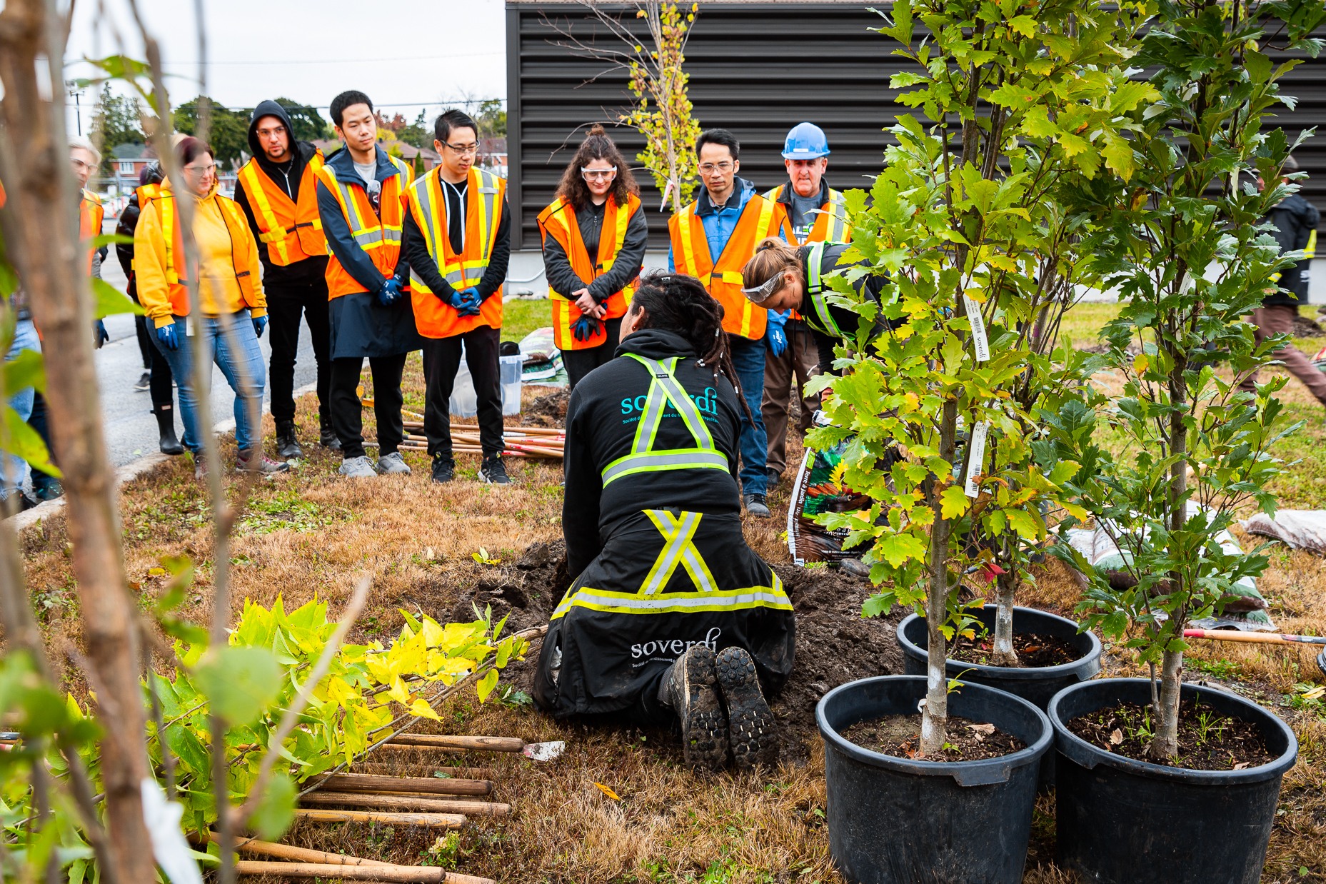 Contactez-nous - Soverdi