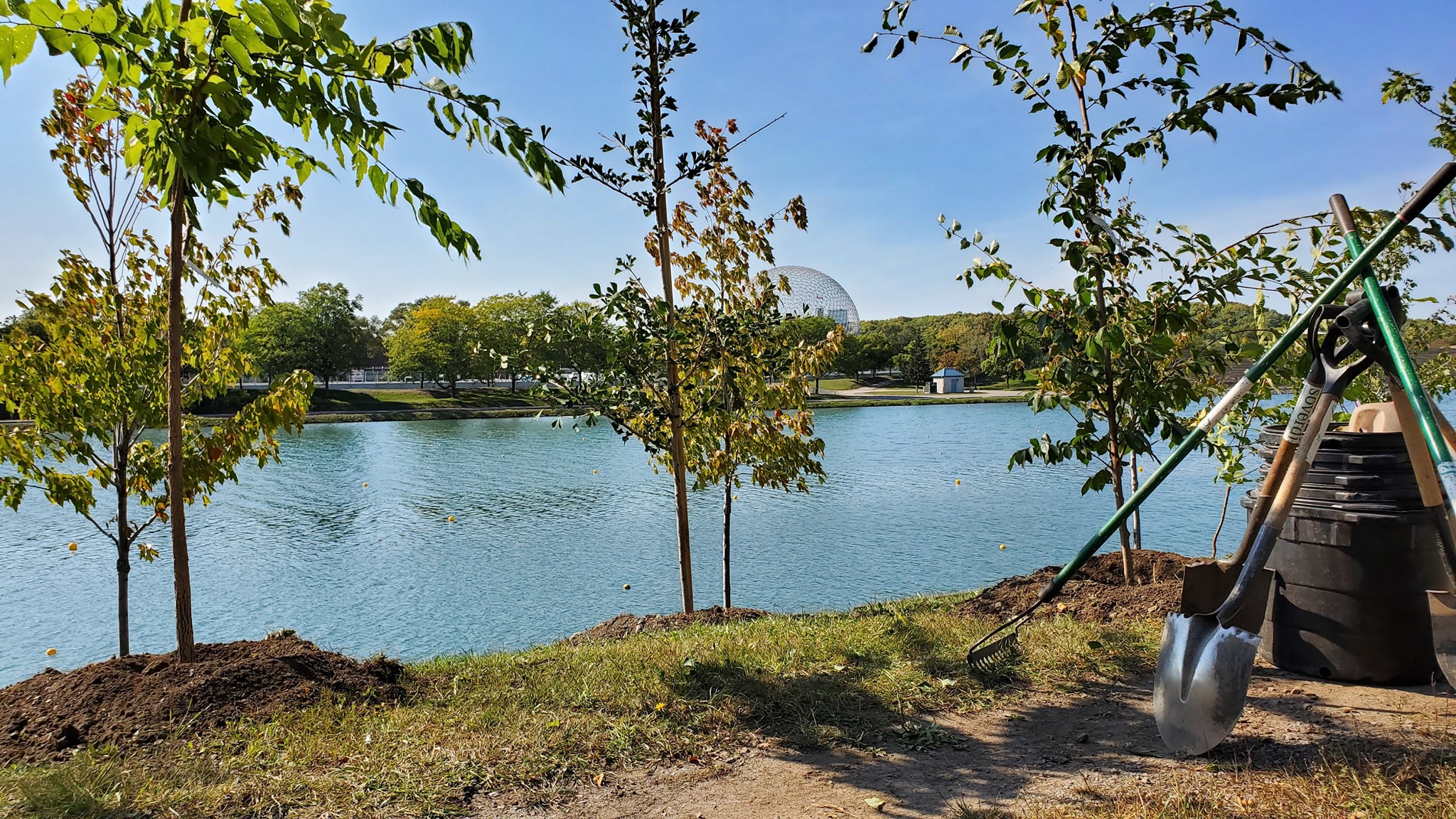 L'Alliance forêt urbaine - Soverdi