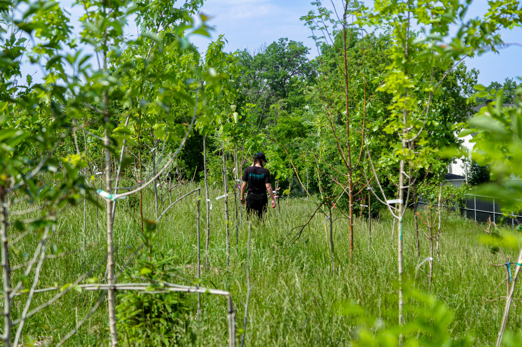 Nos mandats spéciaux - Soverdi